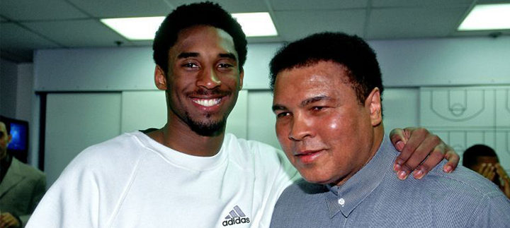 BOXINGFINESSE - Lifestyle Fightwear